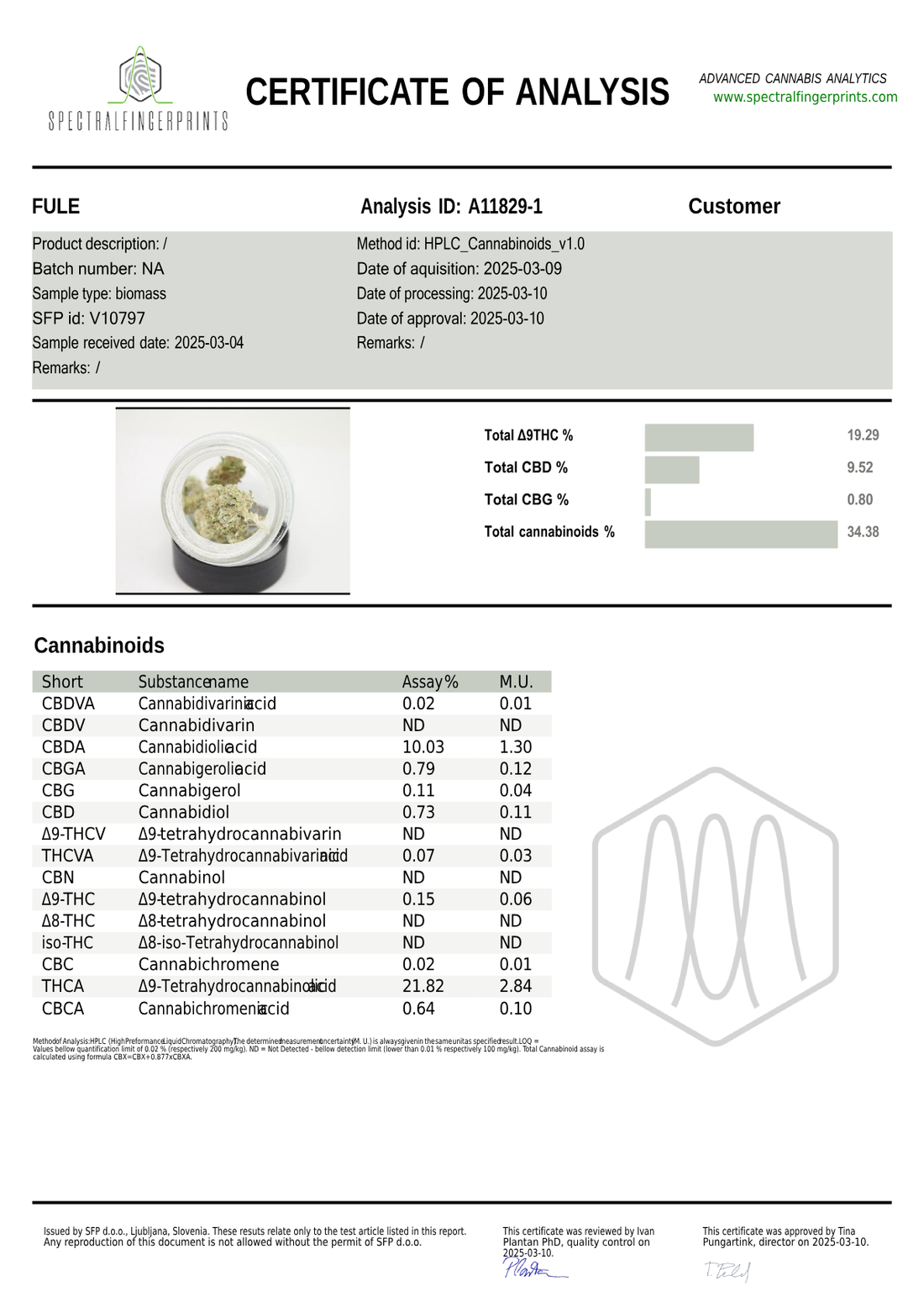 Vad är kokain? Kokainets fascinerande historia